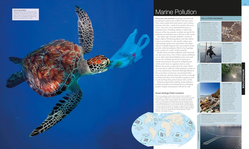 Ocean: The Definitive Visual Guide | Koffietafelboek