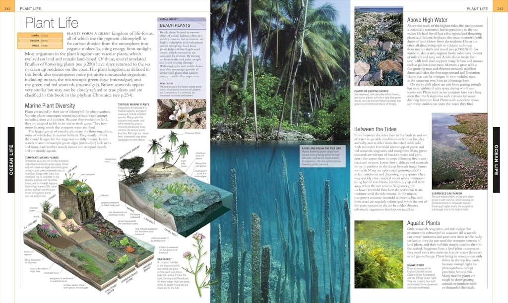 Ocean: The Definitive Visual Guide | Koffietafelboek