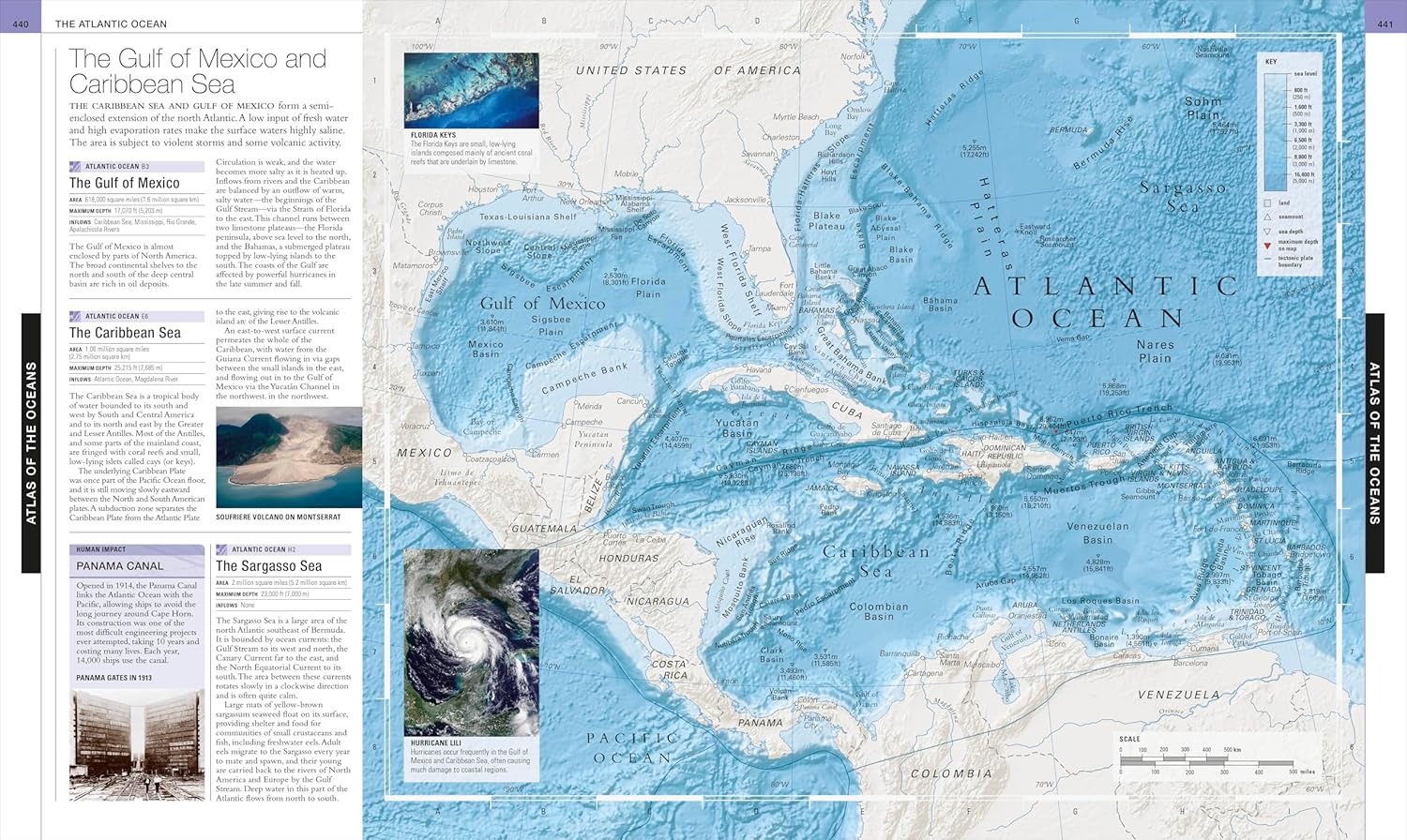 Ocean: The Definitive Visual Guide | Coffee Table Book